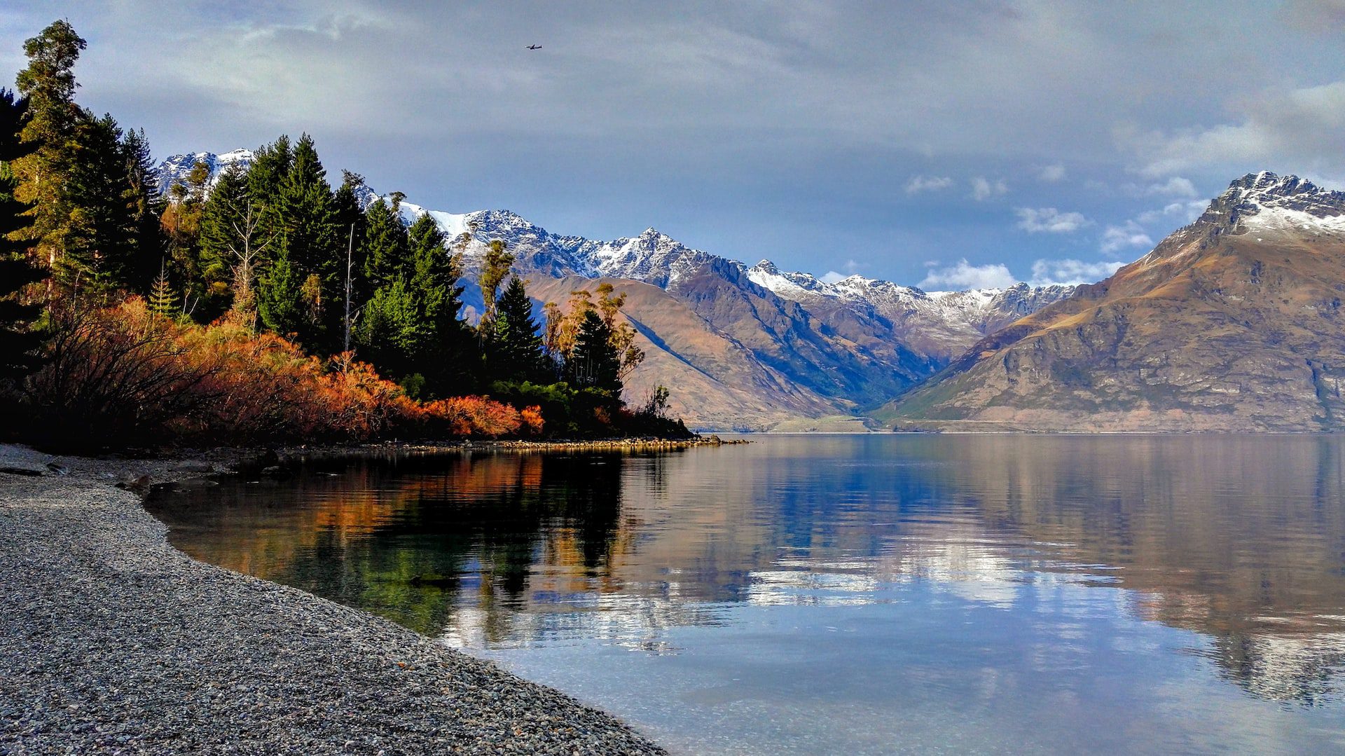 Prices and Useful Tips for Taxis in Queenstown - Queenstown Taxi
