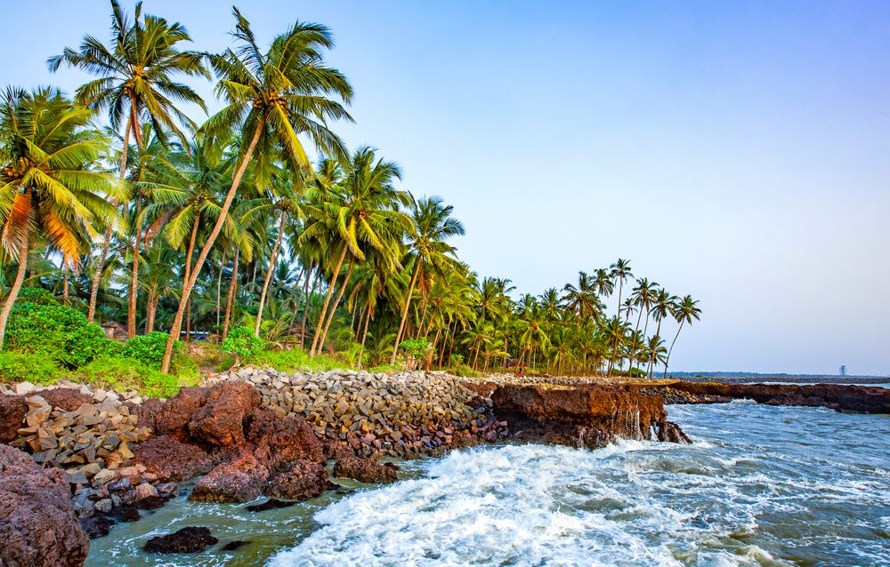 Calicut Airport Taxi: Compare All Taxi Options & Prices