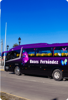 Transportation Options from Punta Arenas Airport to Puerto Natales