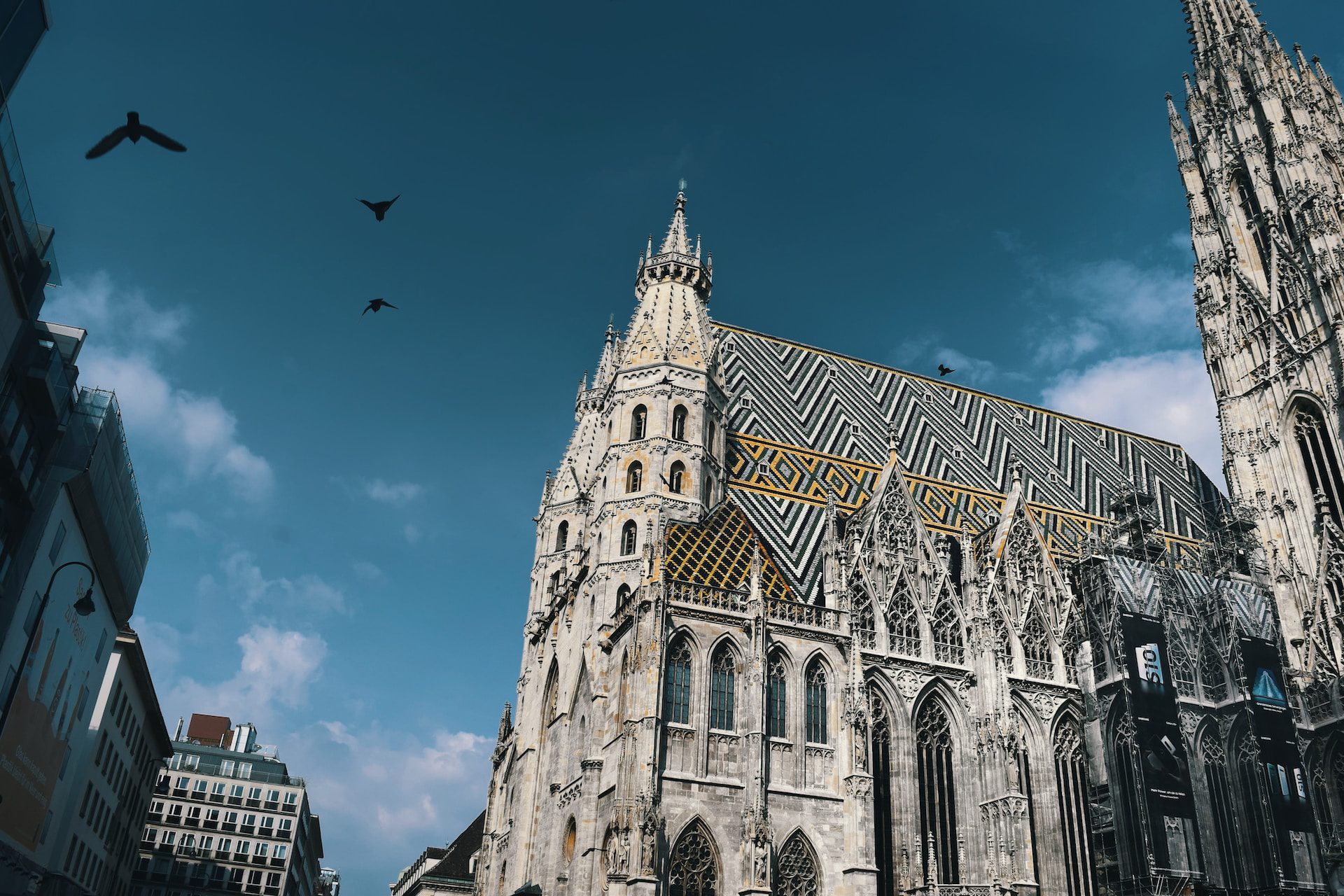 ️ Brno Airport to Vienna: Top Transfer Options