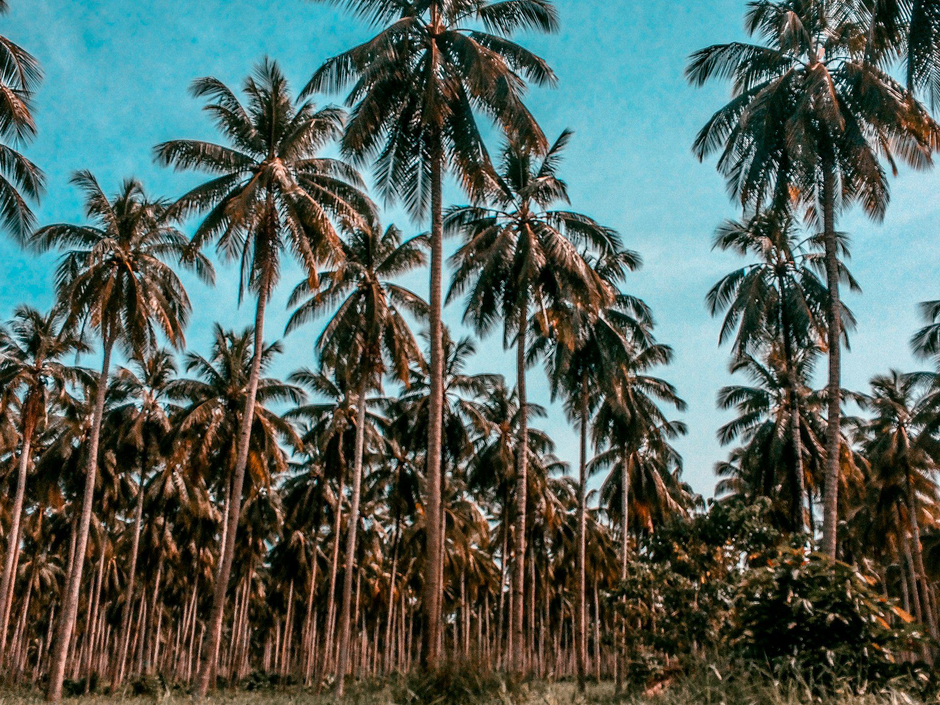 Getting from Davao Airport to Tagum City